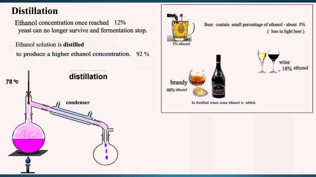 9 ETHANOL Fermentation , Hydrate of ethene HSC Chemistry - YouTube