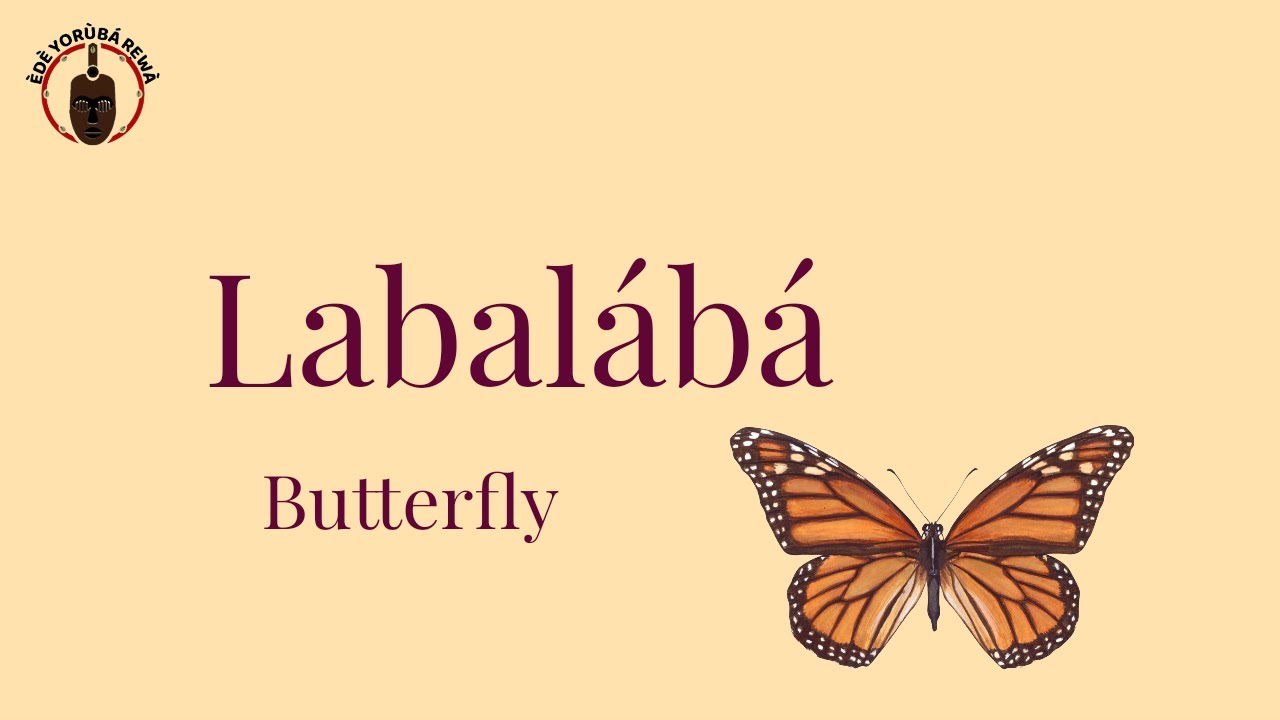 LABALABA - How To Pronounce and Write Animals in Yoruba | African ...