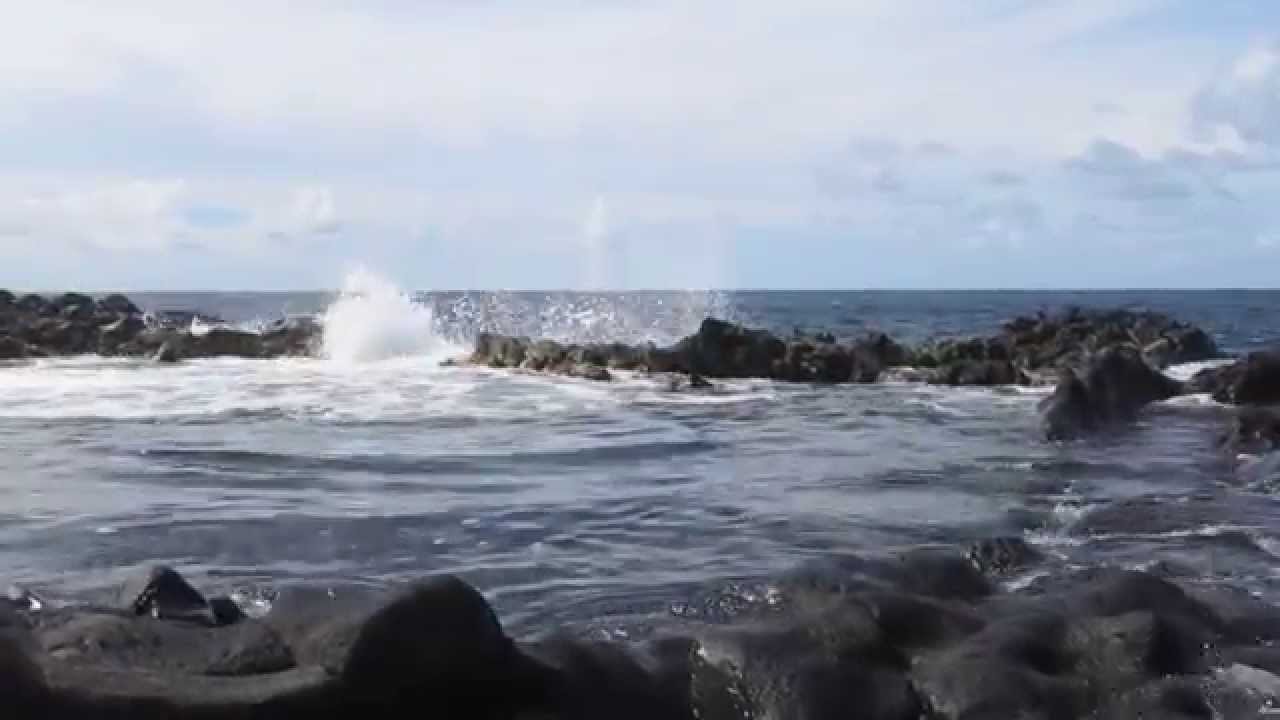 Mermaid Pond - YouTube