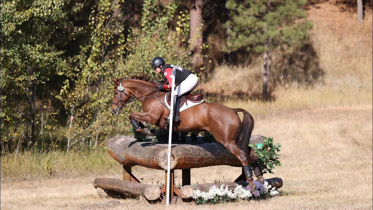 FEI PASSPORT EC WEBSITE TUTORIAL - YouTube