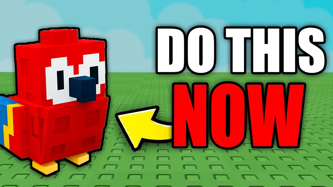 FULL GUIDE To The SUMMER UPDATE In GROW A GARDEN Roblox! - YouTube