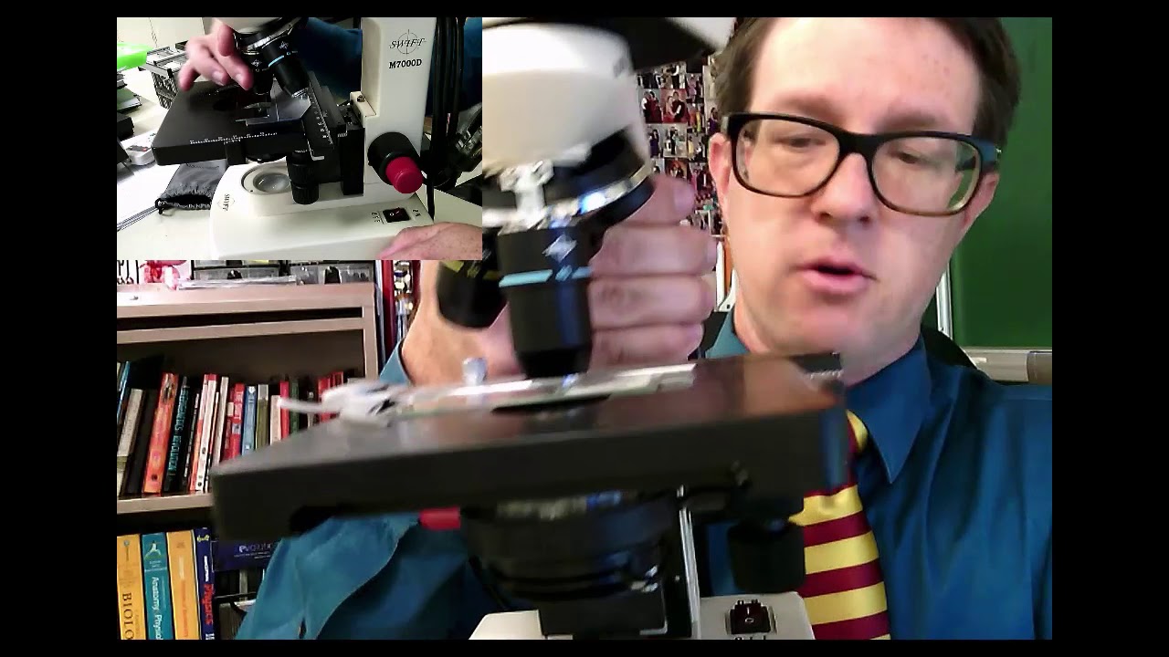 Microscope Tutorial - YouTube