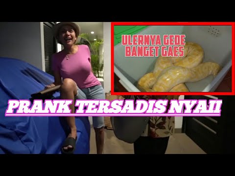 NIKITA MIRZANI PRANK BANG BILLY || CRAZY NIKMIR REAL