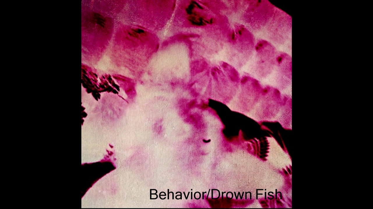 Behavior/Drown Fish - Full ep - YouTube