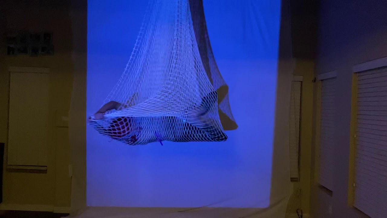 Ariel from the Little Mermaid Aerial net performance - YouTube