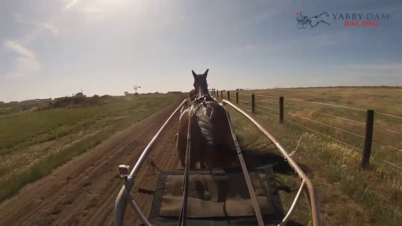 Yabby Dam Racing TV - From the Sulky - YouTube