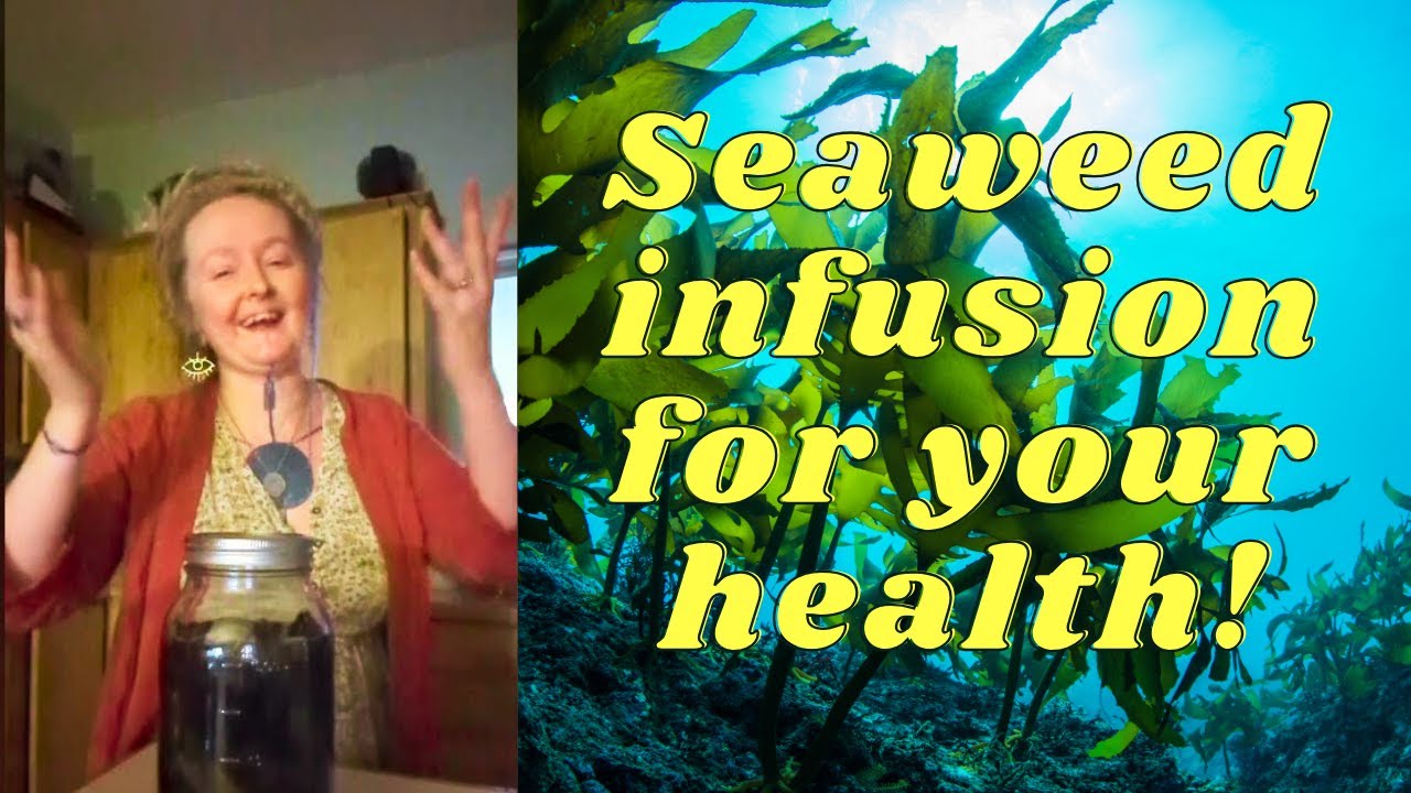 Could Seaweed infusions improve your health? - YouTube