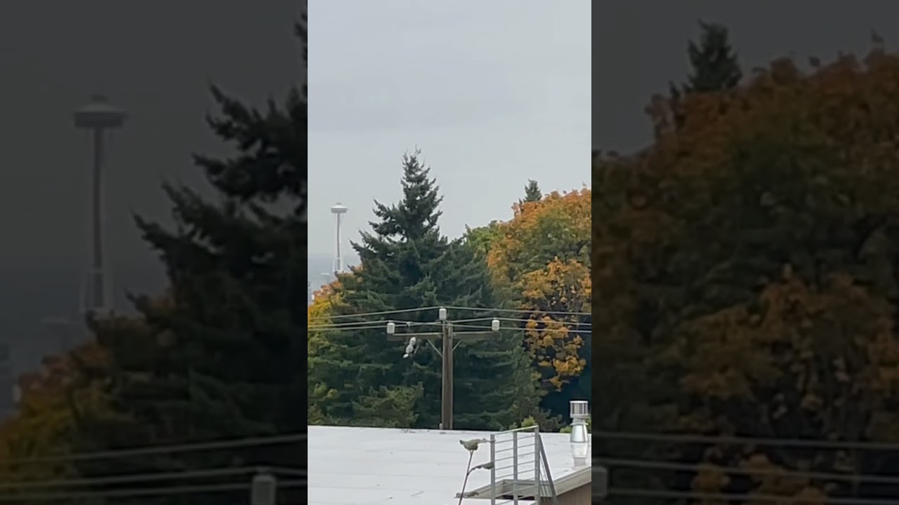 Bomb Cyclone, Weather, Seattle, Washington - YouTube