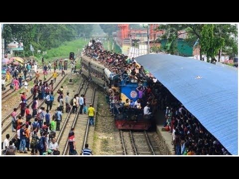 Mandikan Hewan Kurban hingga Festival Sapi, Intip Tradisi Unik Sambut Idul Adha di Berbagai Negara