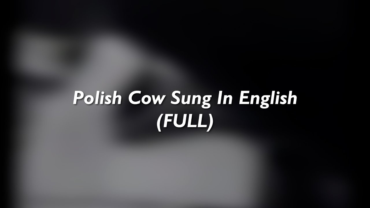 Polish Cow Sung In English FULL VERSION YouTube Music polish-cow-sung-in-english-full-version-youtube-music