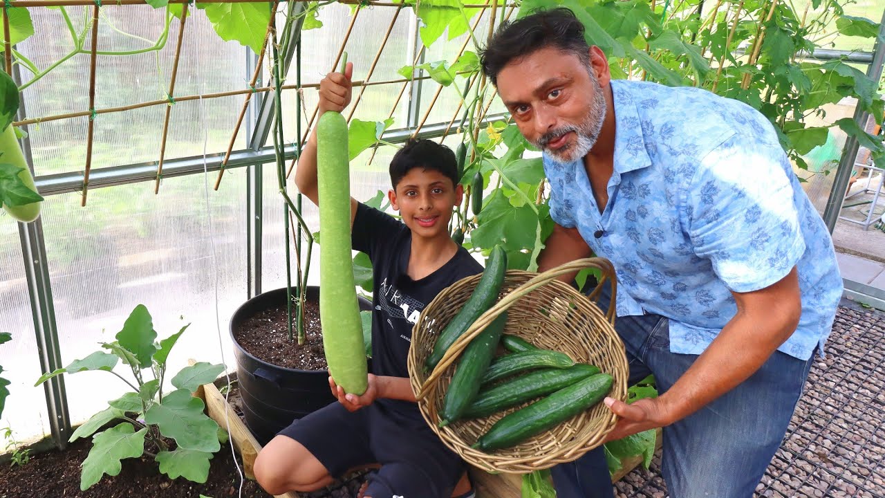 Early Summer Vegetable Harvesting | First khodu Harvest 2022 - YouTube