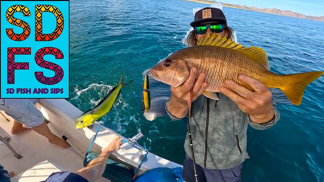 Dorado & Yellowtail Snapper Fishing Baja California | SDFS Loreto ...