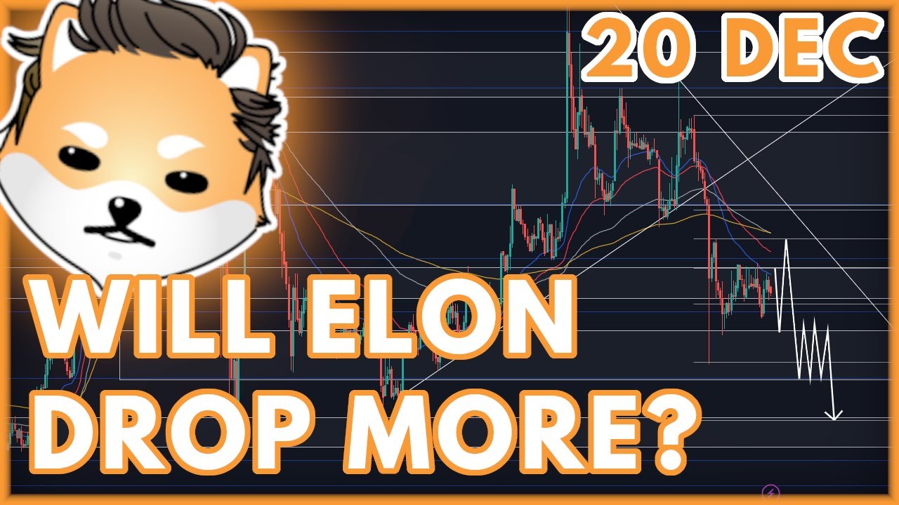 ELON PRICE PREDICTION TODAY! | DOGELON MARS (ELON) PRICE PREDICTION & NEWS 2022! - YouTube