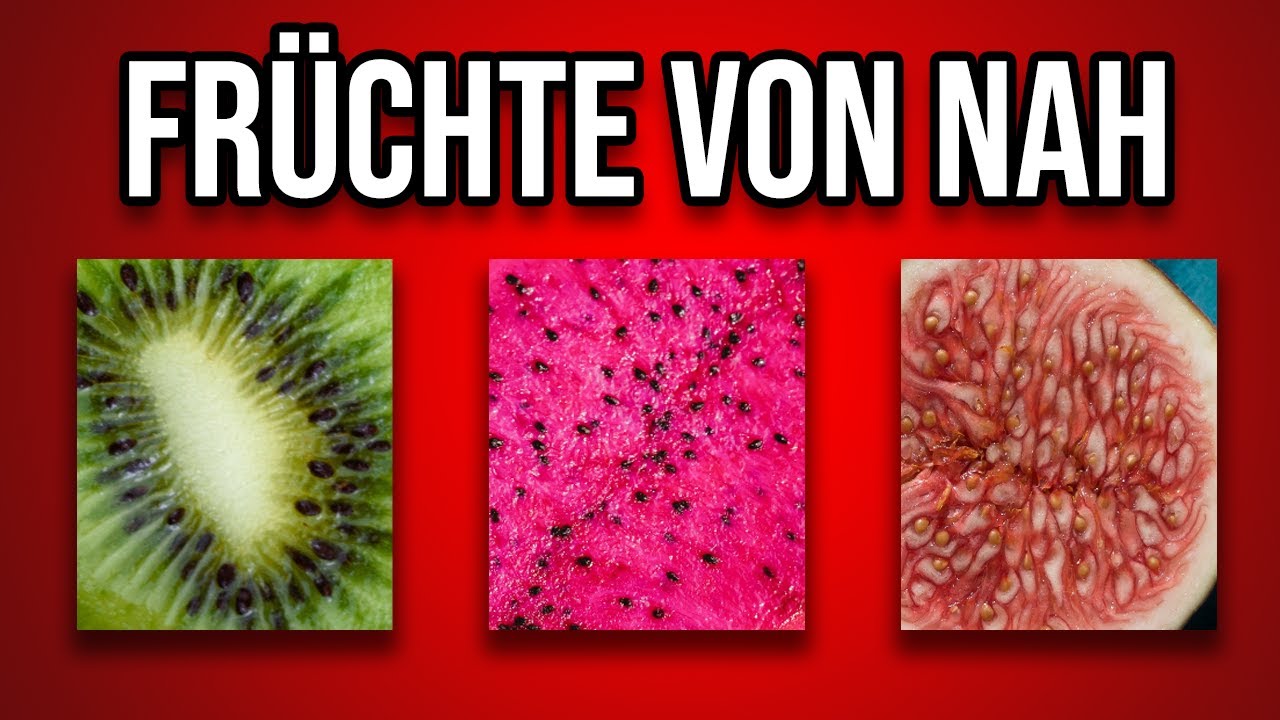 in 5 SEKUNDEN | leicht bis schwer | Früchte QUIZ - YouTube