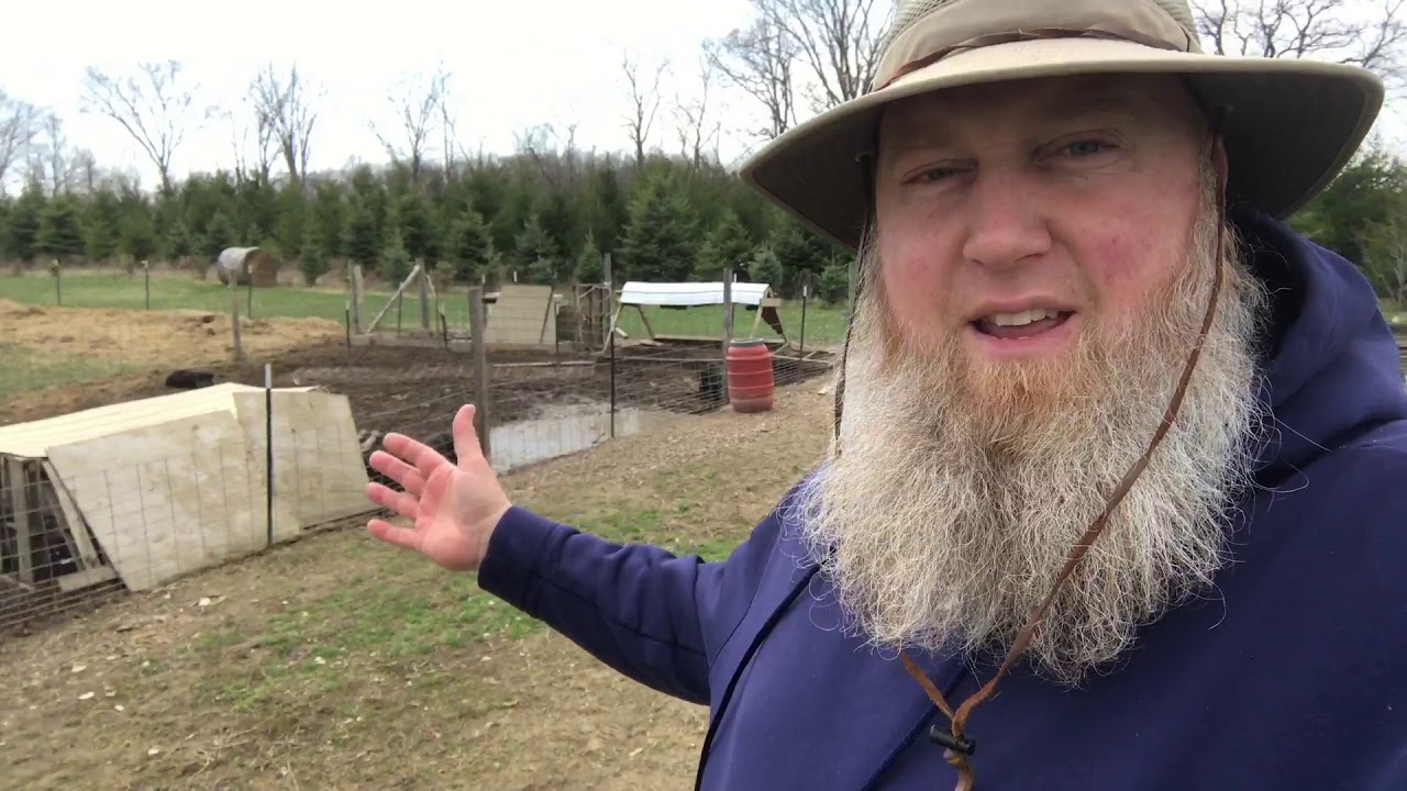 Keeping it Dutch Made Me Do It, This Homestead Life - YouTube