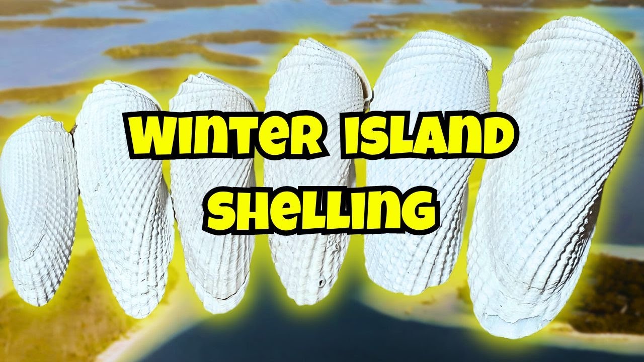 Epic WINTER STORM Shelling the Ten Thousand Islands - YouTube