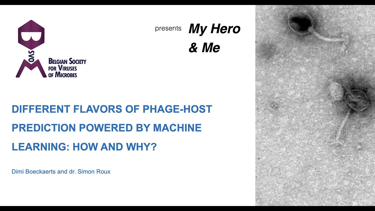 My Hero & Me - Different flavors of phage-host prediction powered by ...