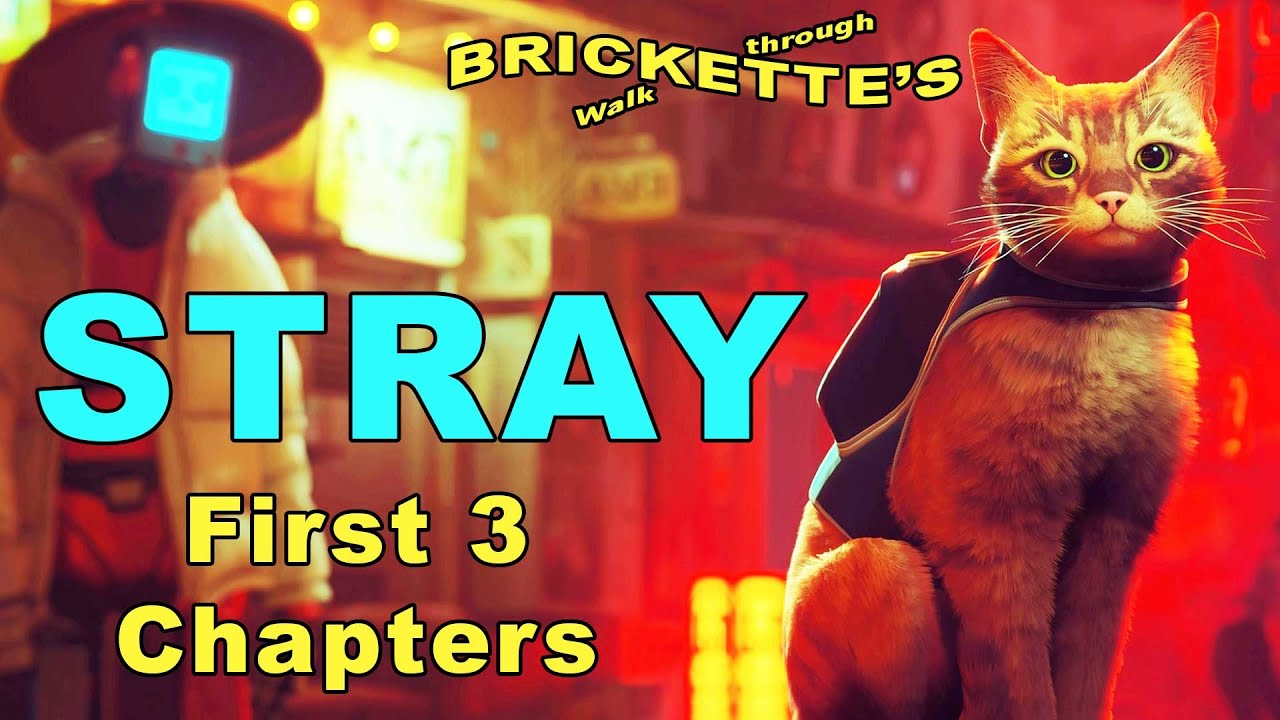 Stray cat video game - Inside the Wall, Dead City, and The Flat ...