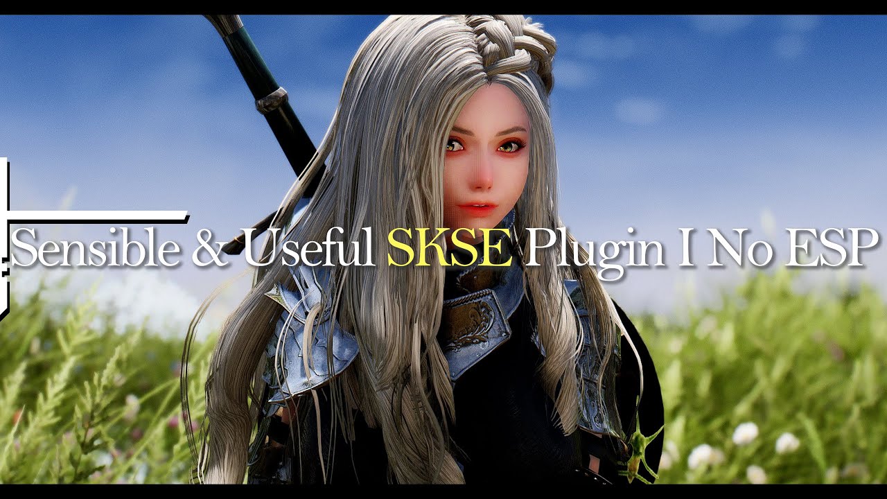 SKSE NPC AI Process Position Fix I ENB Input Disabler I Contextual Crosshair I Contextual ...