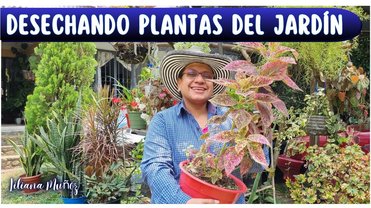 😶DESECHANDO PLANTAS FEAS DE MI JARDÍN/Liliana Muñoz - YouTube