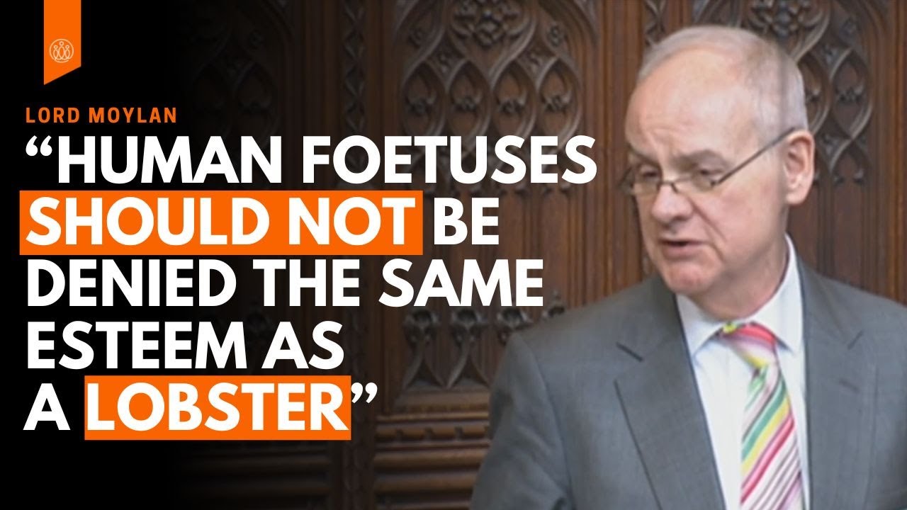 Lord Moylan argues that unborn humans should not have fewer rights than ...