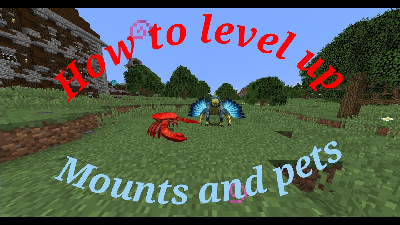 How to level up mounts and pets in RLcraft - YouTube