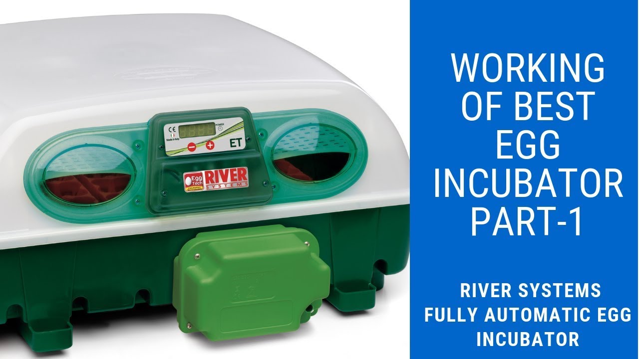 Working of Automatic Egg Incubator Hatching Machine By River Systems in ...