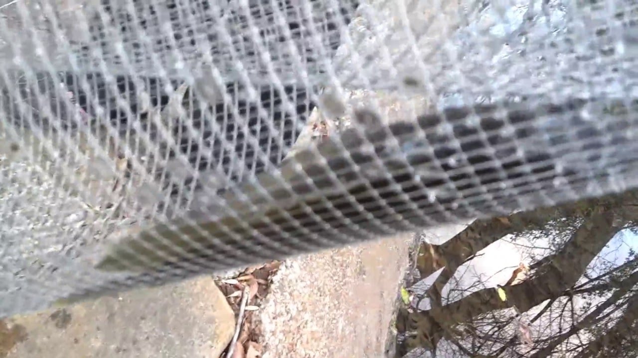 Home made fish trap - YouTube