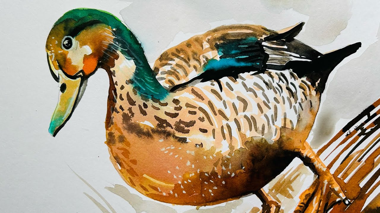 Wild duck / simple water colour / painting / my art page - YouTube