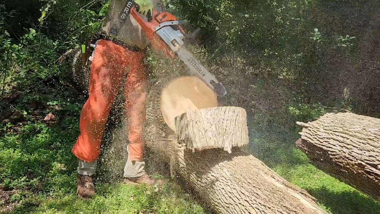 Husqvarna's Hot Rod Chainsaw! - YouTube