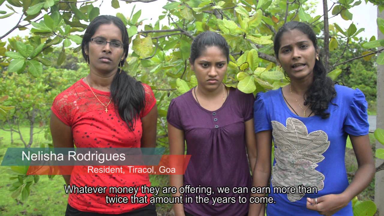 Save Tiracol; Save Goa: Our Cashew Plantations are Our Lives - YouTube