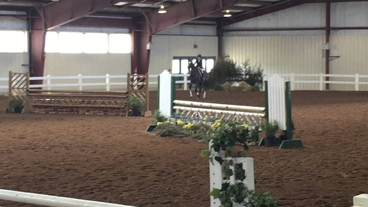 Adam Edgar and One More Time- WIHS Pony Equitation- Lexington Spring ...