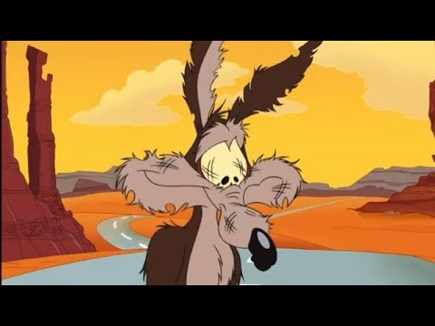 My Reaction to Coyote VS. ACME (2026) getting 96% on Rotten Tomatoes 