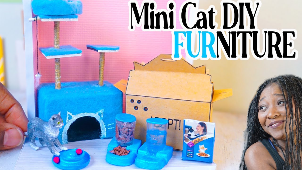 Miniature Cat Furniture DIY | Cat House Diorama 🐈 - YouTube