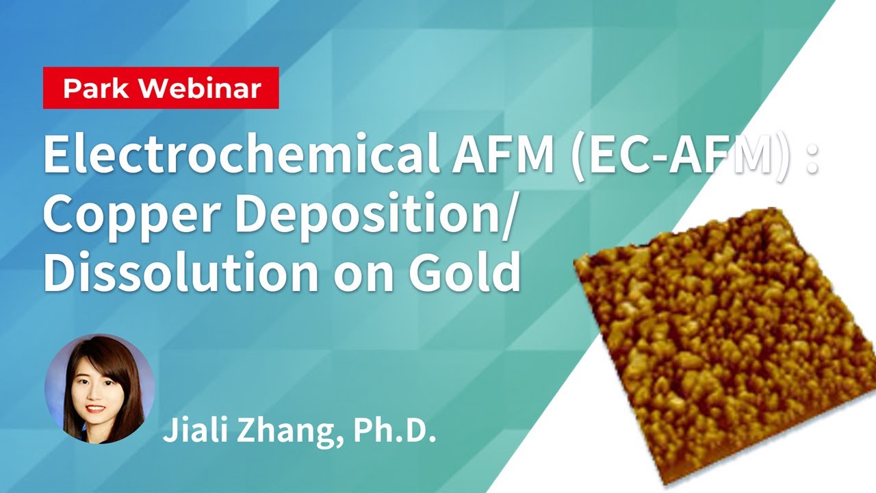 Electrochemical AFM (EC-AFM): Copper Deposition/Dissolution on Gold ...