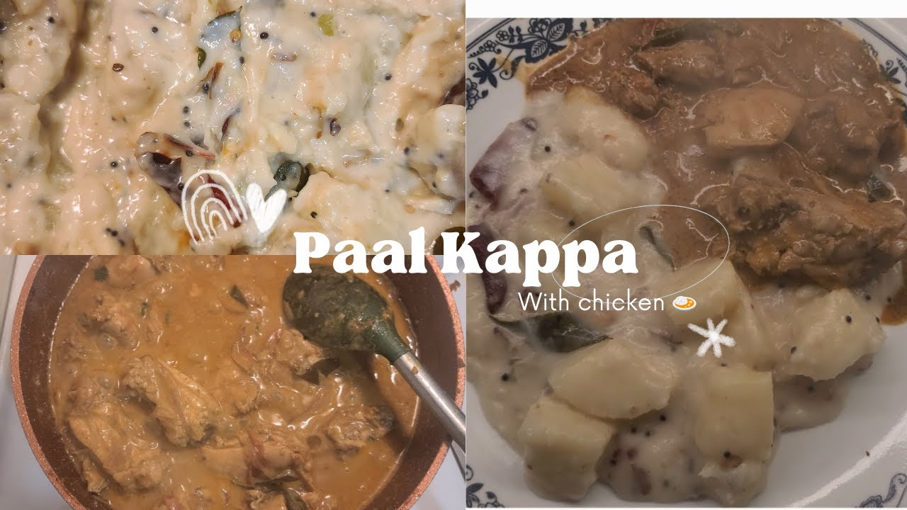 Paal Kappa | Kerala Traditional food | Tapioca in Coconut Milk - YouTube