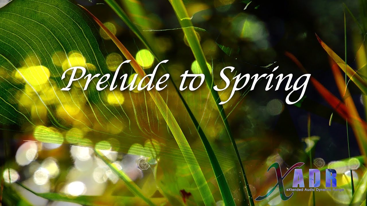 PRELUDE TO SPRING (New XADR Official) - YouTube