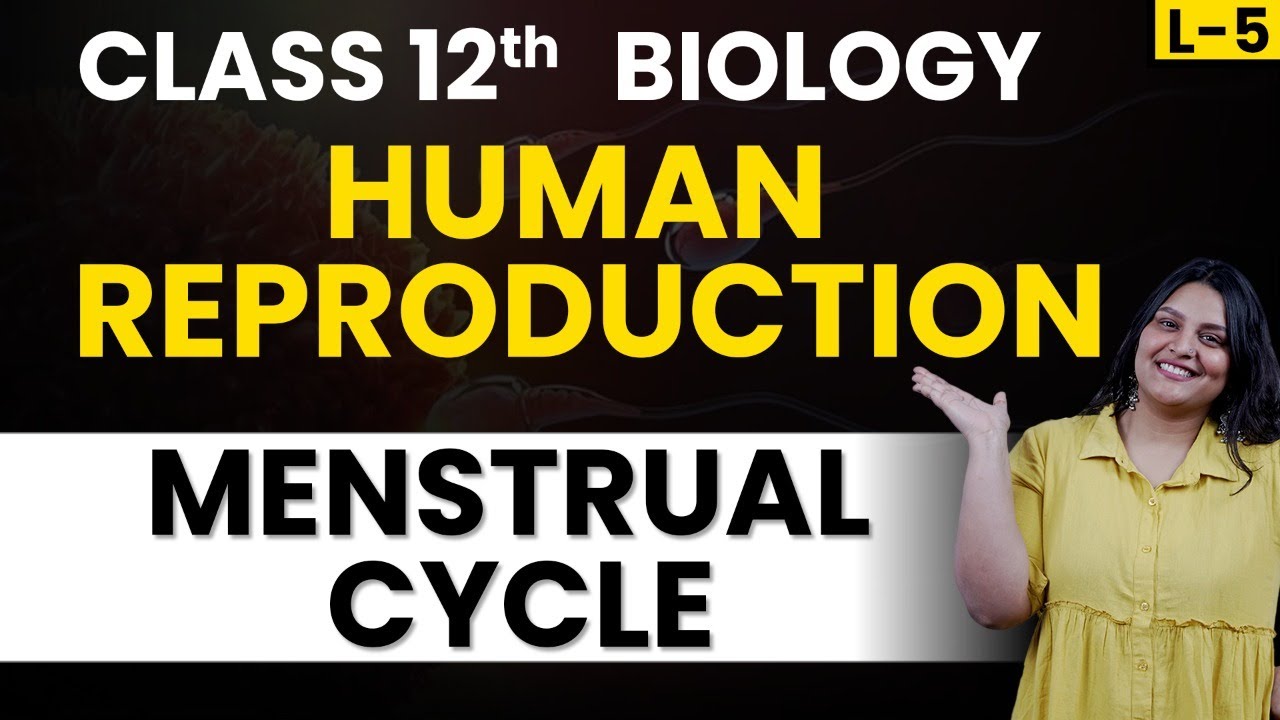 CBSE Class 12 Biology NCERT Ch 3 | Human Reproduction | Menstrual Cycle ...