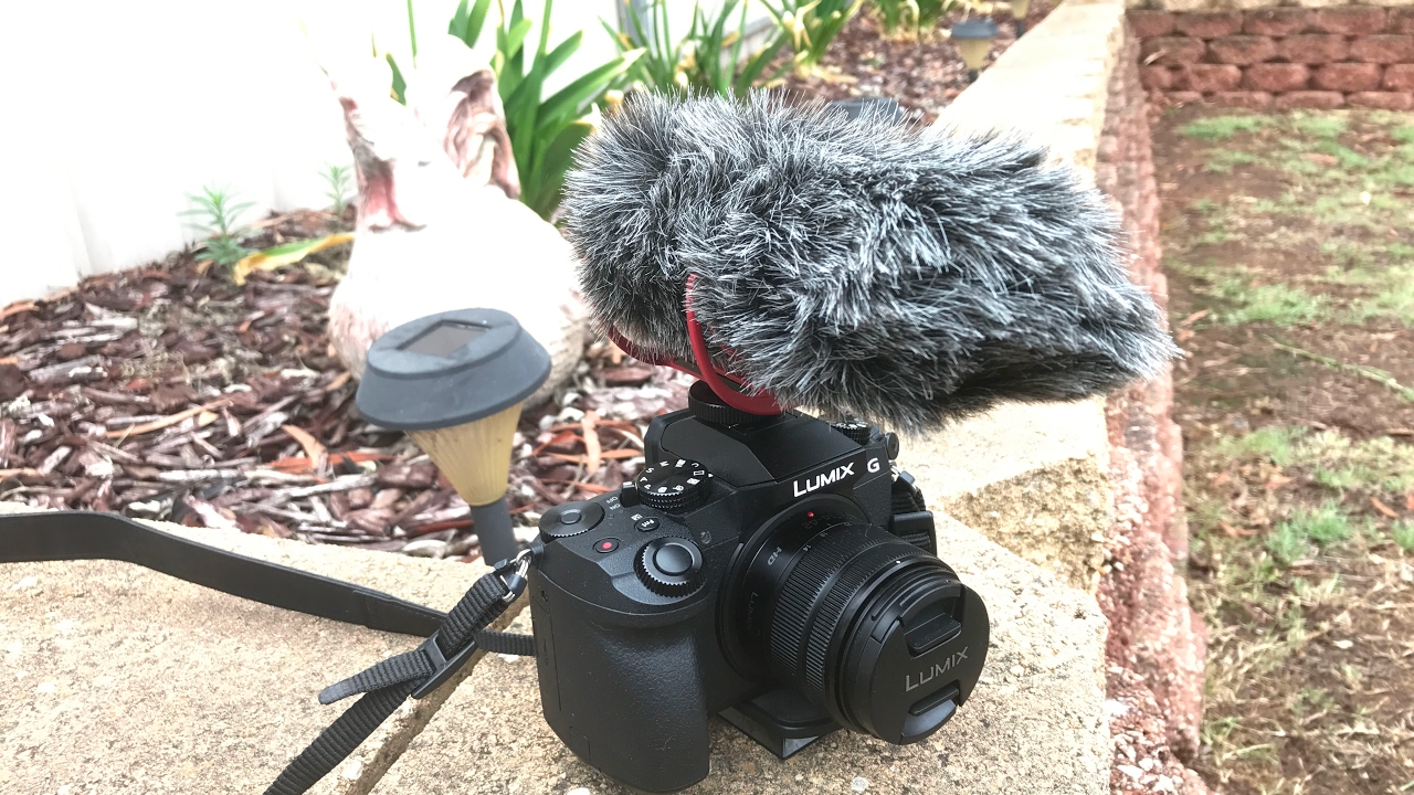 Using the Rode VideoMic Go with my Lumix G7 | Audio Quality Example ...