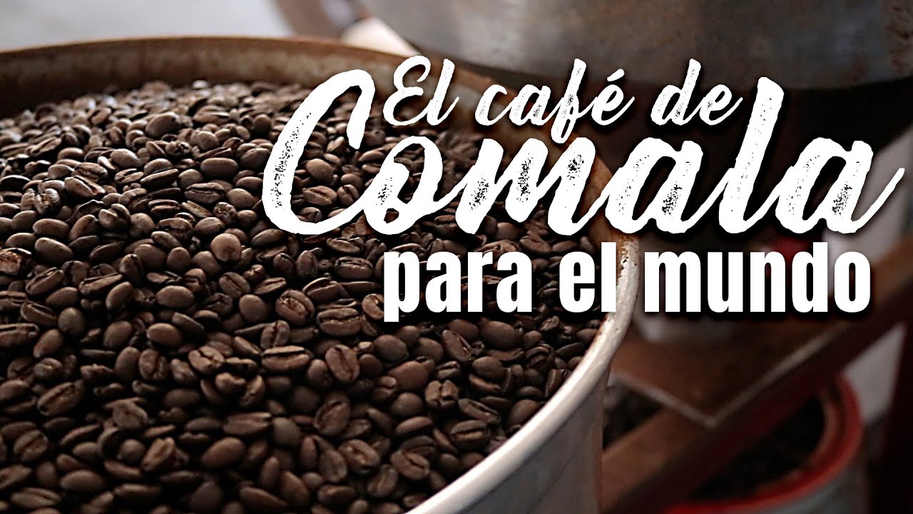 COMALA TIENE CAFÉ DE CALIDAD MUNDIAL - YouTube