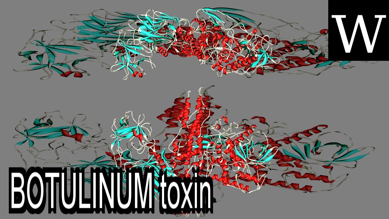 BOTULINUM toxin - WikiVidi Documentary - YouTube