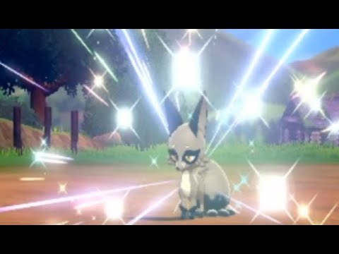 Shiny Nickit Steals the show! 1862 Pokemon sword BQ #1 - YouTube