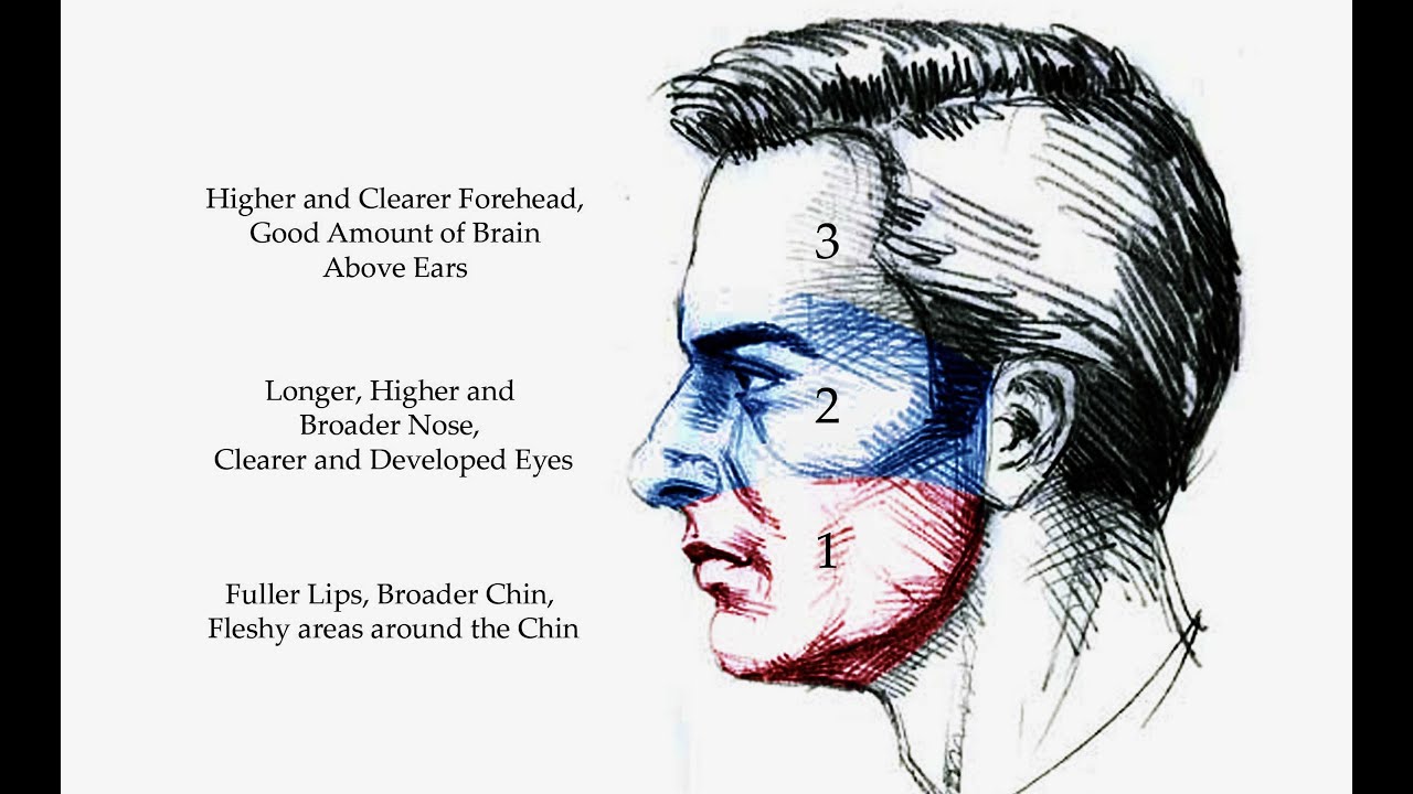 FACE READING - THE 3 DIVISIONS OF FACE - PHYSIOGNOMY - YouTube