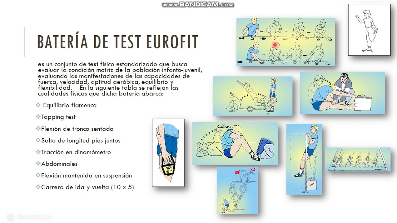 BATERIA DE TEST EUROFIT - YouTube