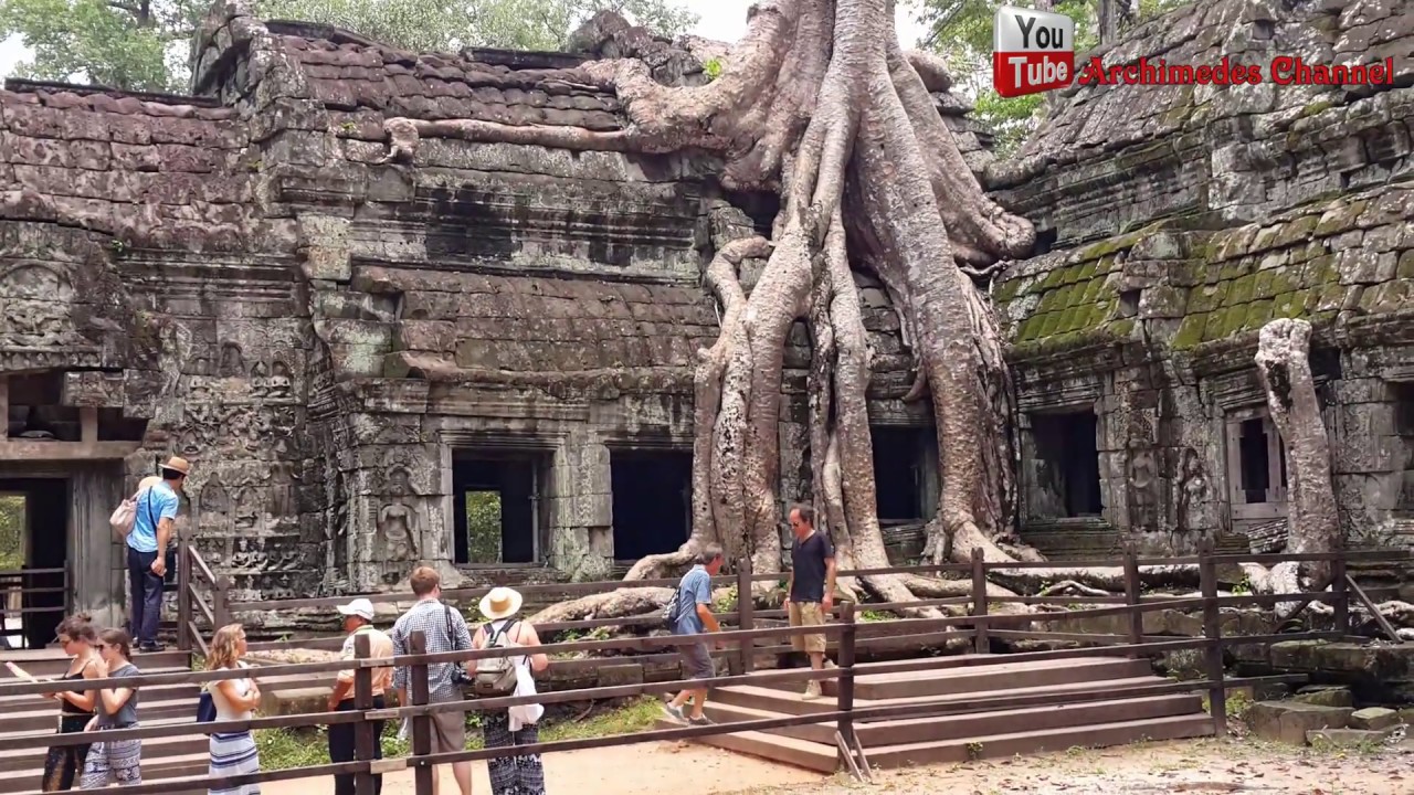 Giant Trees At the Cambodian Temple of Ta Prohm growing out of the ...