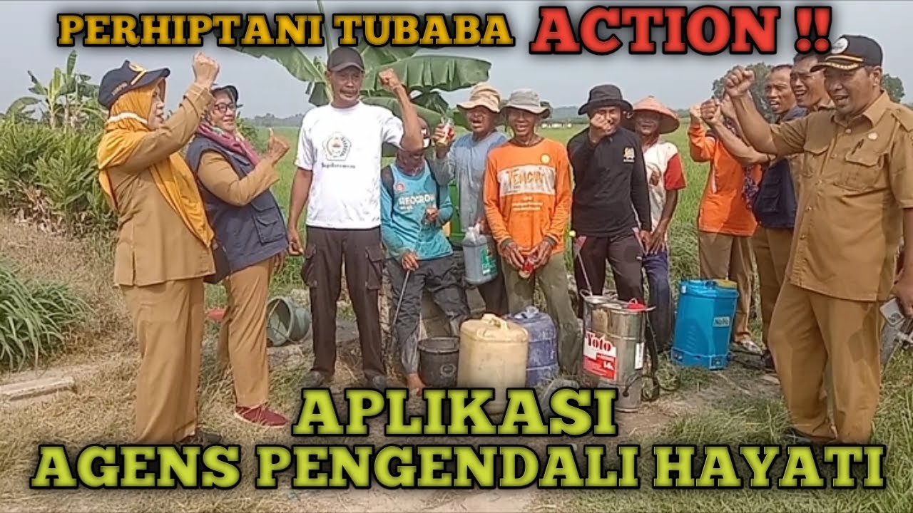 Pemanfaatan Agens Pengendali Hayati Sebagai Pencegah Serangan OPT Pada ...