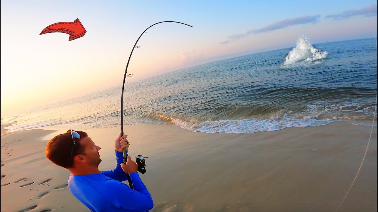 The Most PRIZED Fish from Alabama BEACHES! - YouTube