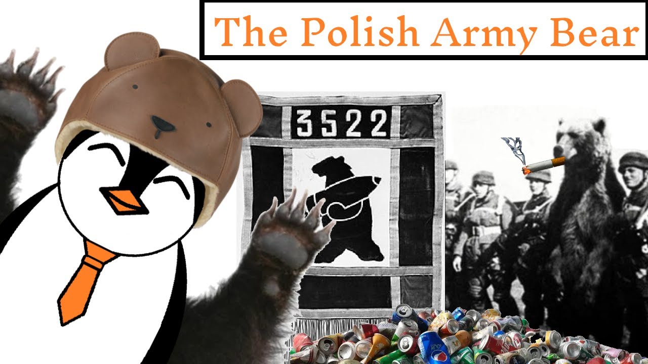 Wojtek: the Binge Drinking Bear that Fought in WW2 - YouTube