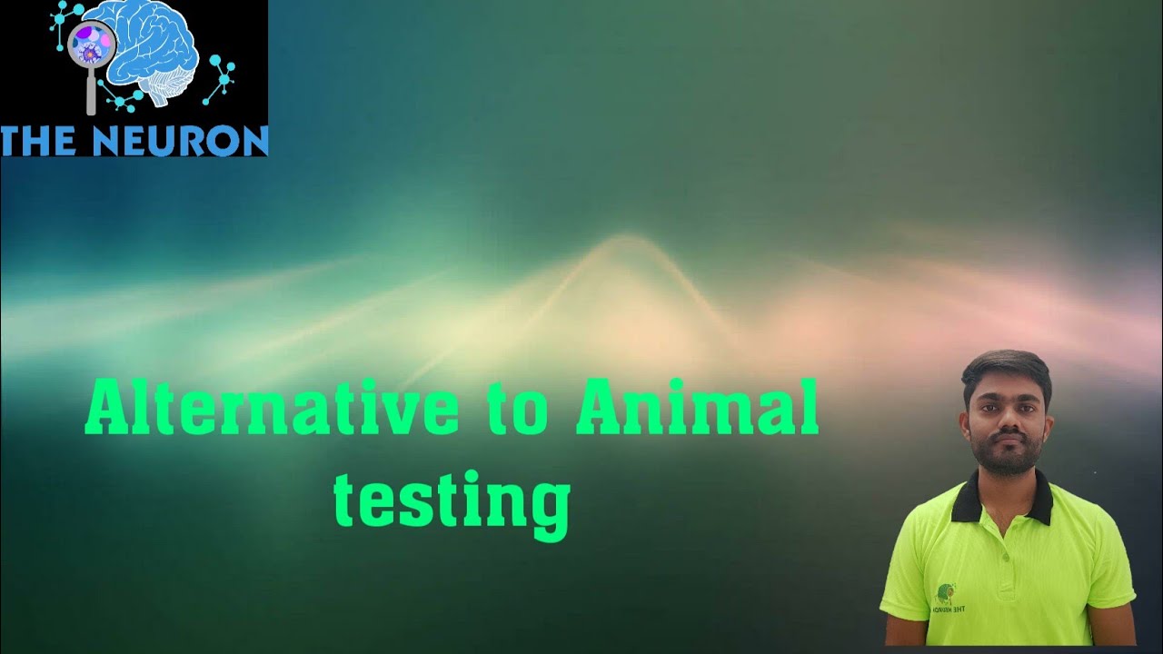 Alternative to Animal testing - YouTube