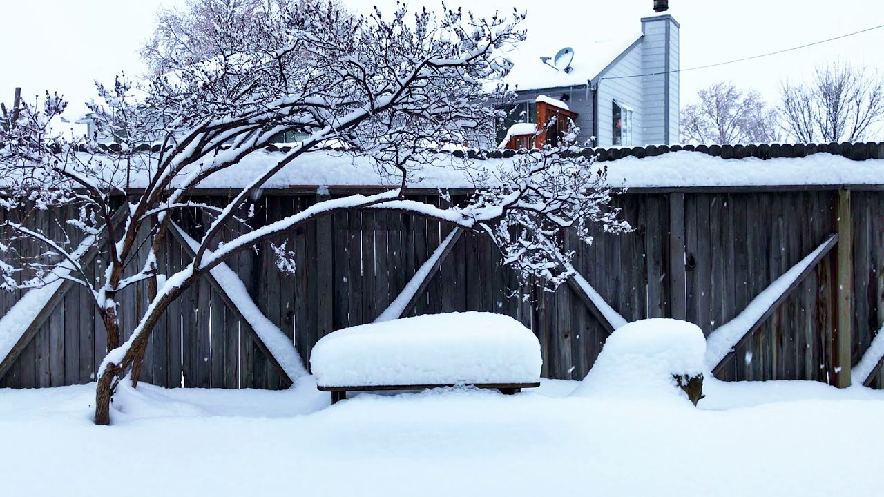 Backyard Snowfall - 90 minutes - YouTube